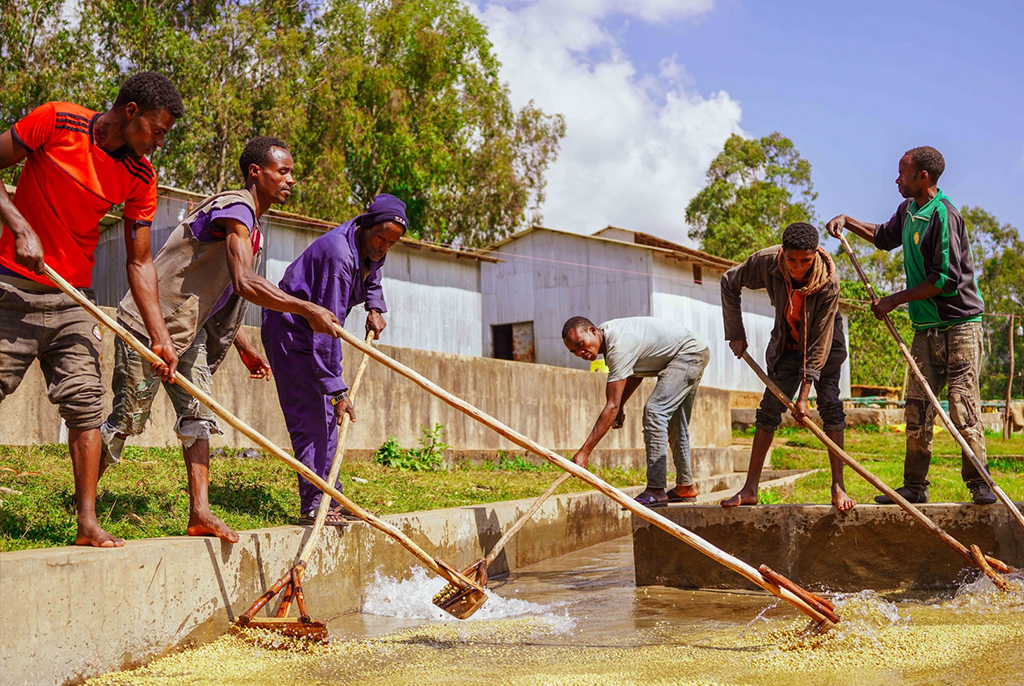 Daye Bensa– GOOD LIFE COFFEE