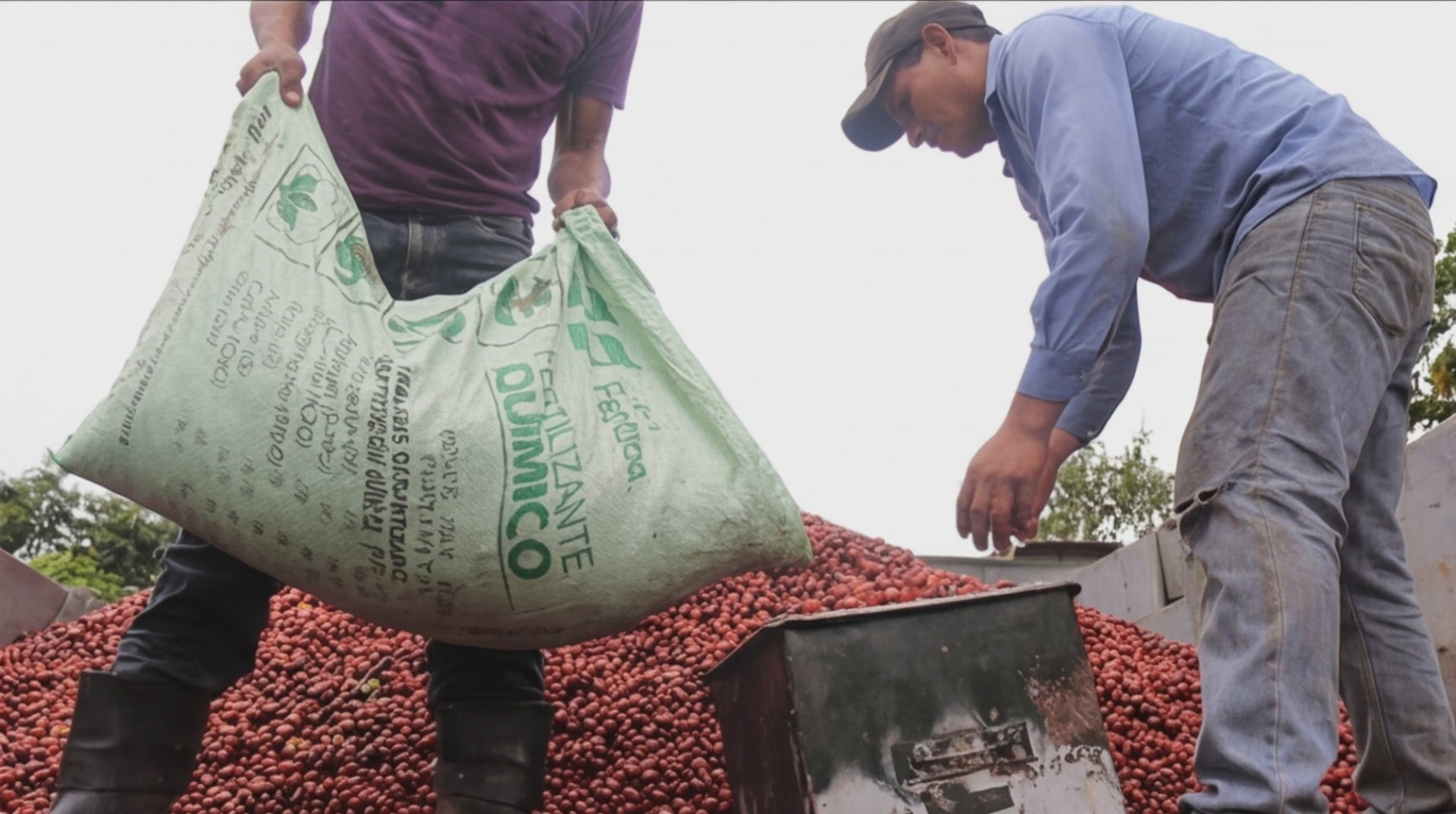 GOOD LIFE COFFEE ROASTERS | Free UK delivery on ALL orders.